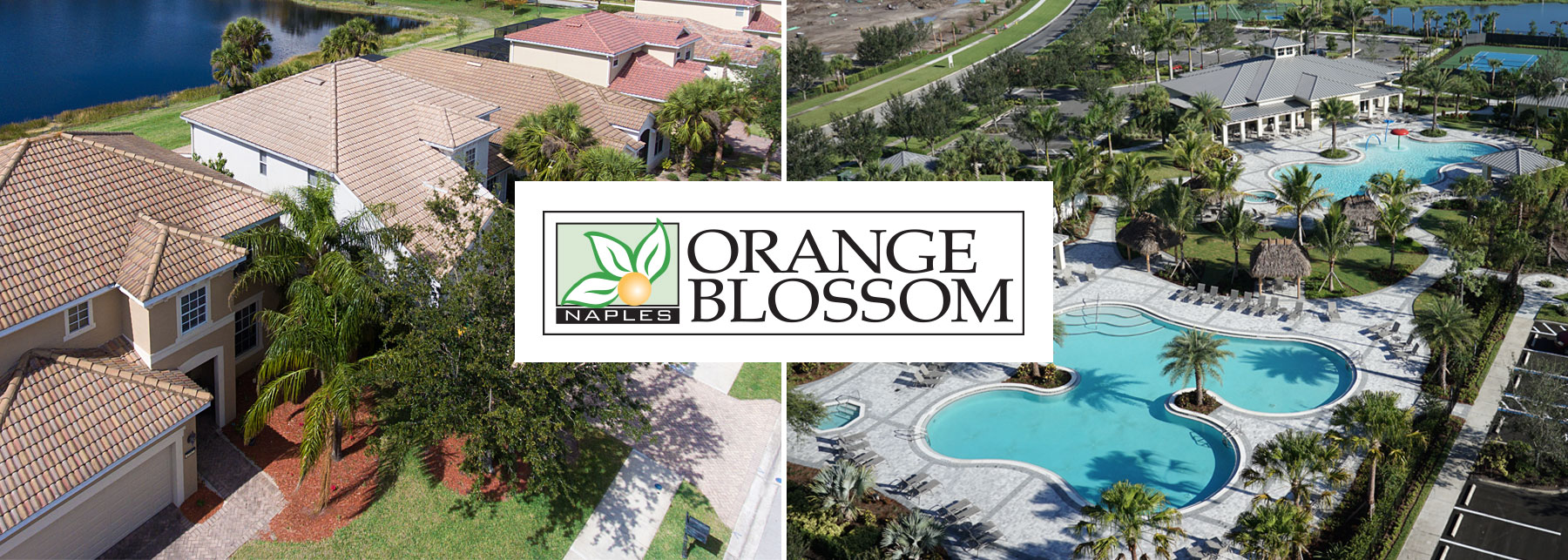 Welcome To The Ronto Group • Naples, Florida Developer